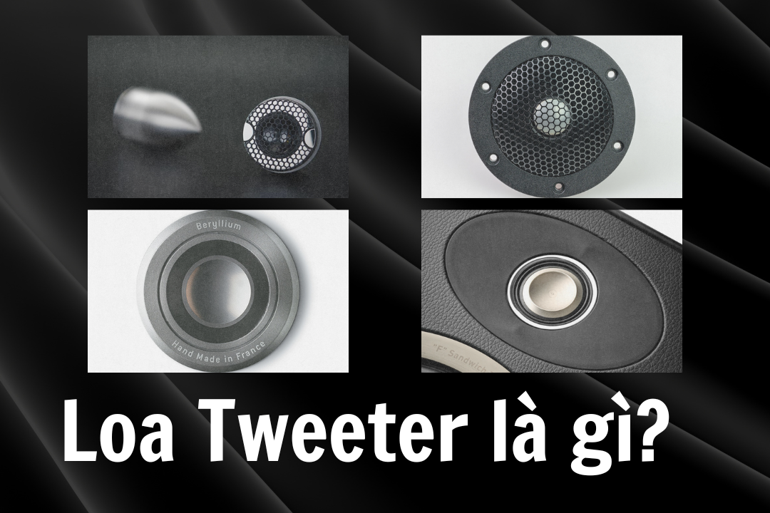 Loa tweeter là gì? Khám phá vai trò quan trọng trong hệ thống âm thanh ...